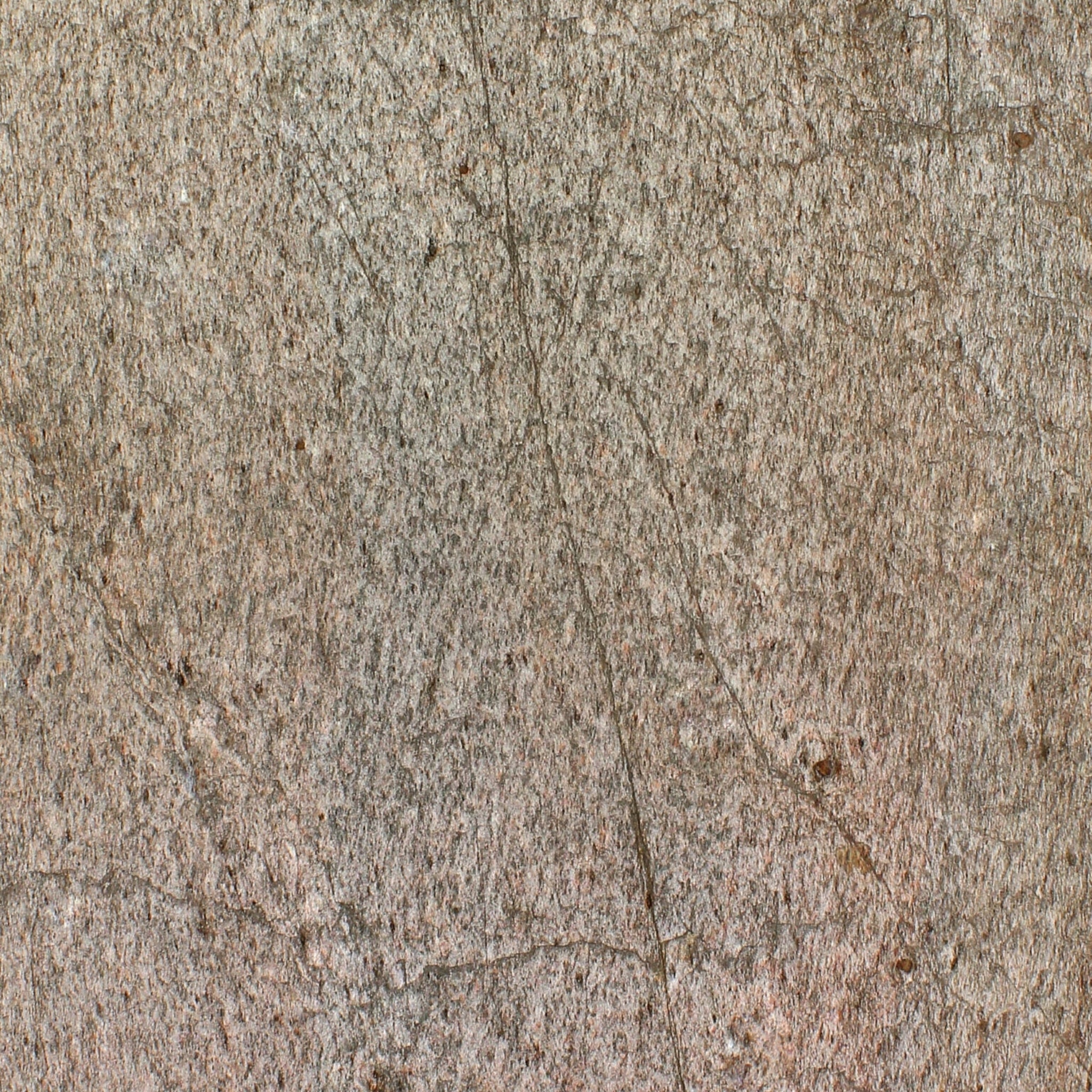 Kuala Lumpur Natural Stone Leaf by Stoneleaf | Maison Territo